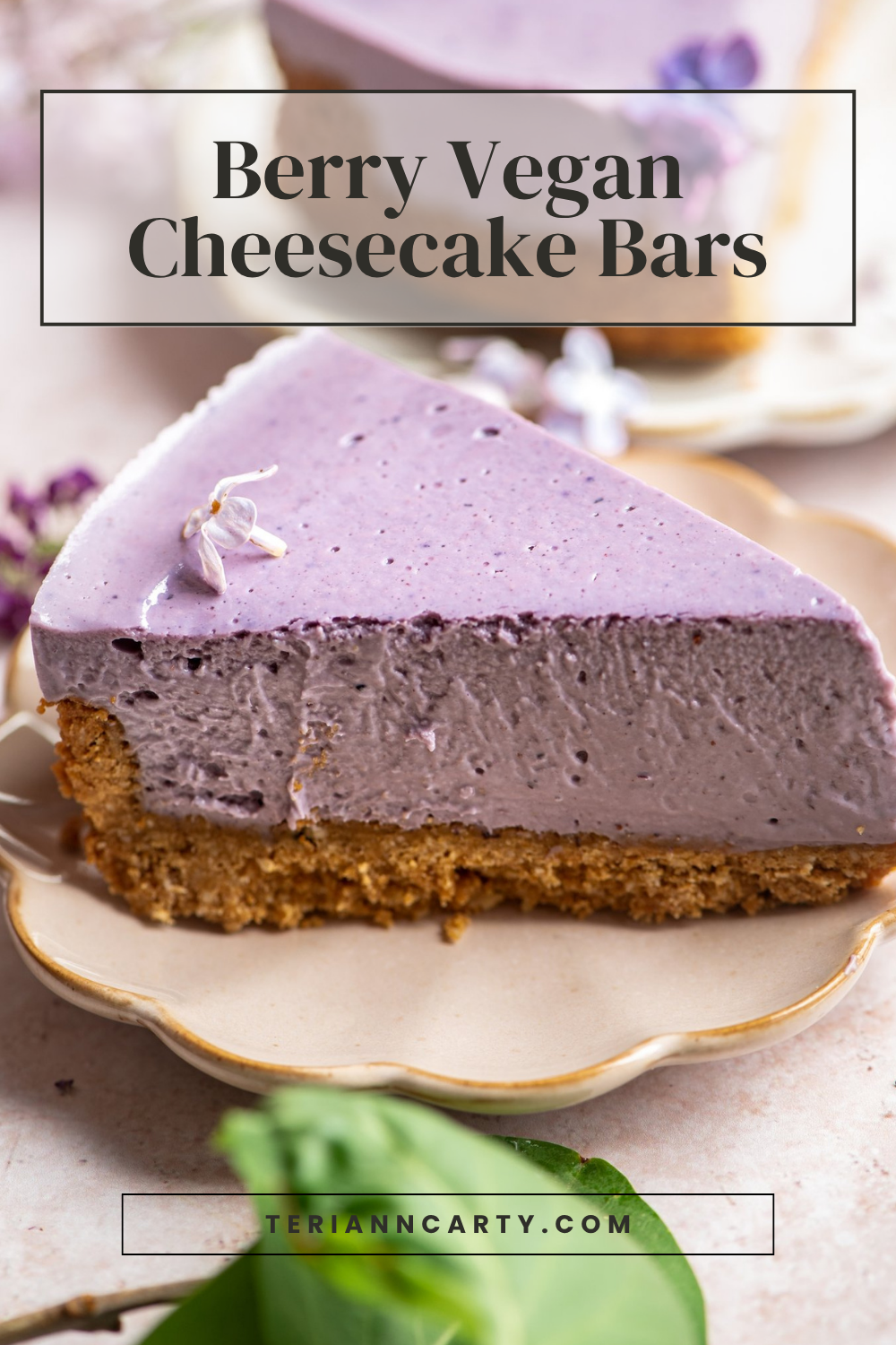 Blueberry Cheesecake | Teri-Ann Carty Recipes